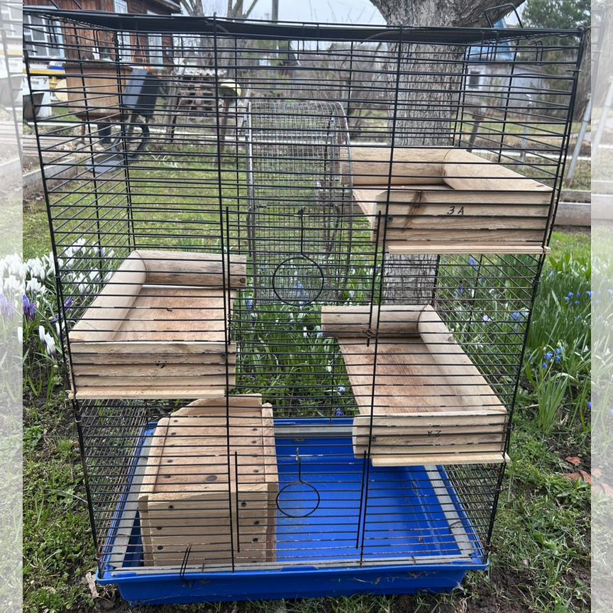 Клетка для шиншилл и грызунов