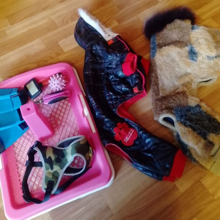 Одежда, аксессуары для собаки среднего размера