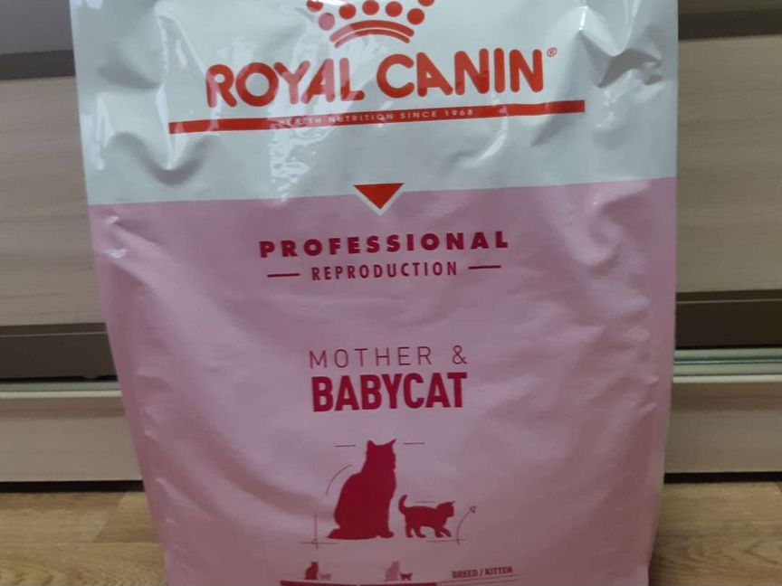 Сухой корм для котят