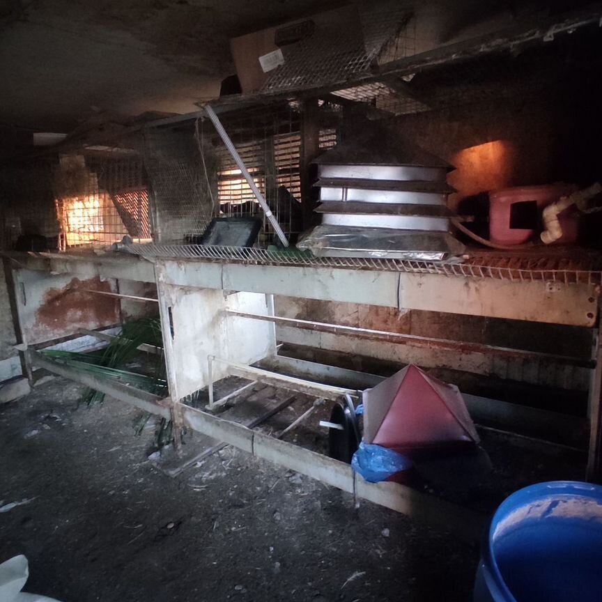 Клетки для кур несушек заводские