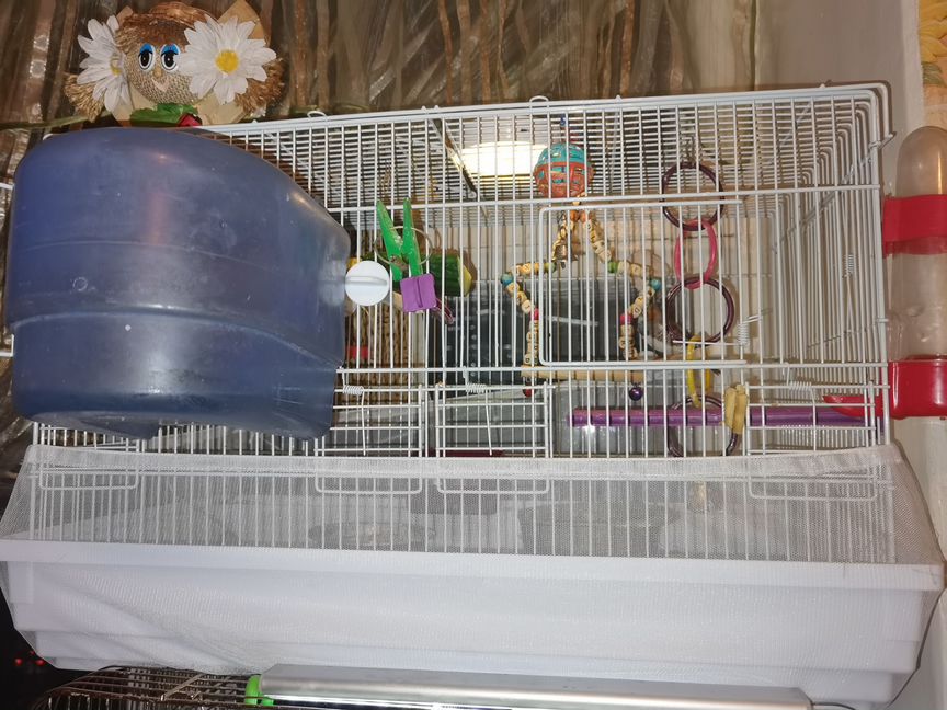 Клетка с птичками