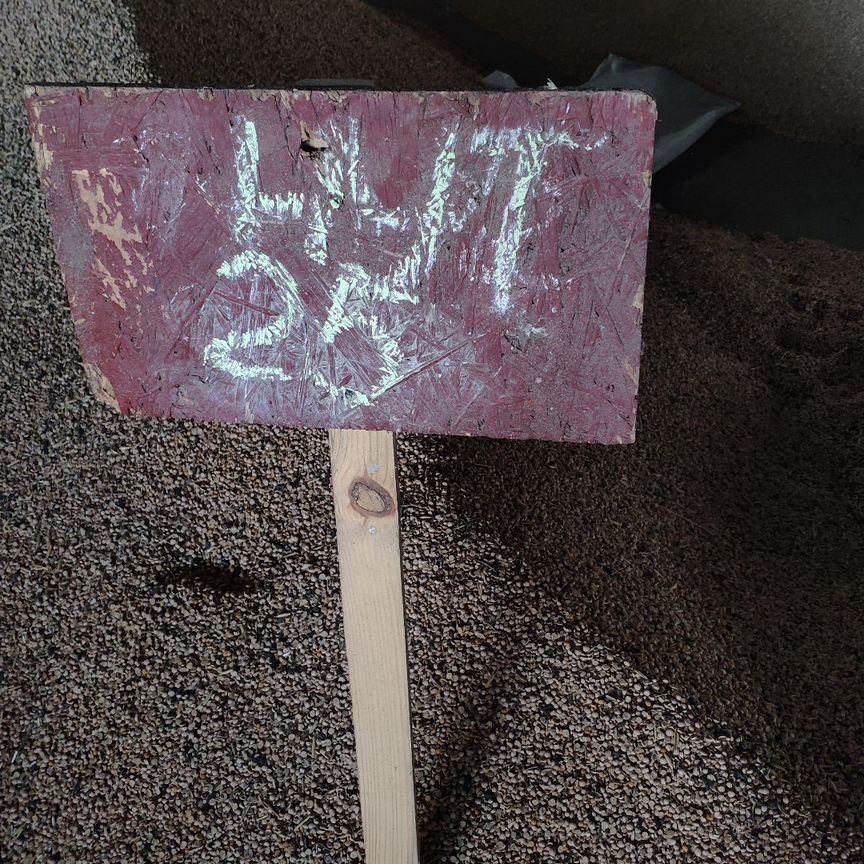 Горох,нут,просо, гречка