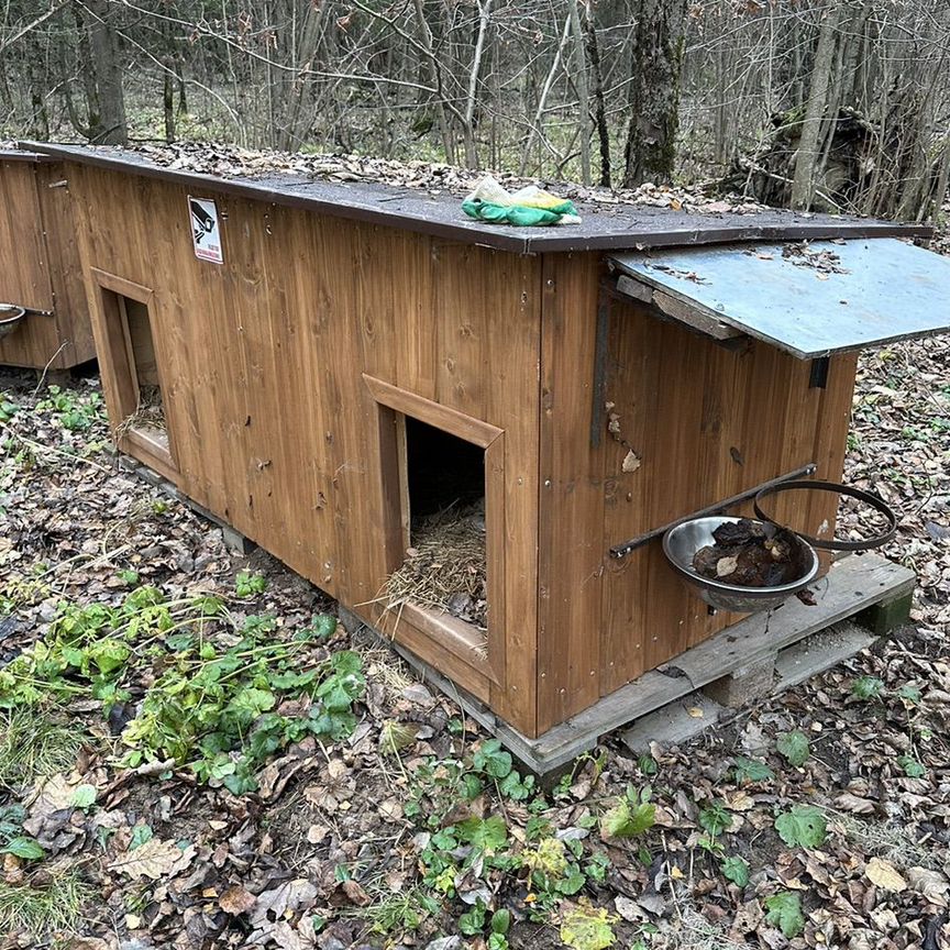 Будки собачьи