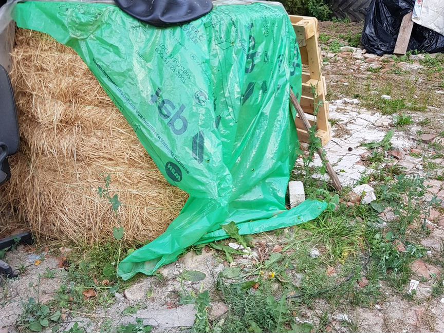 Сено в тюках