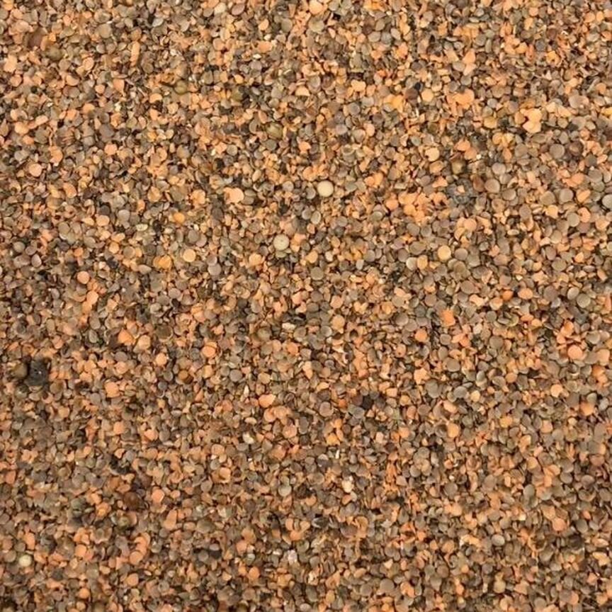 Отходы чечевицы