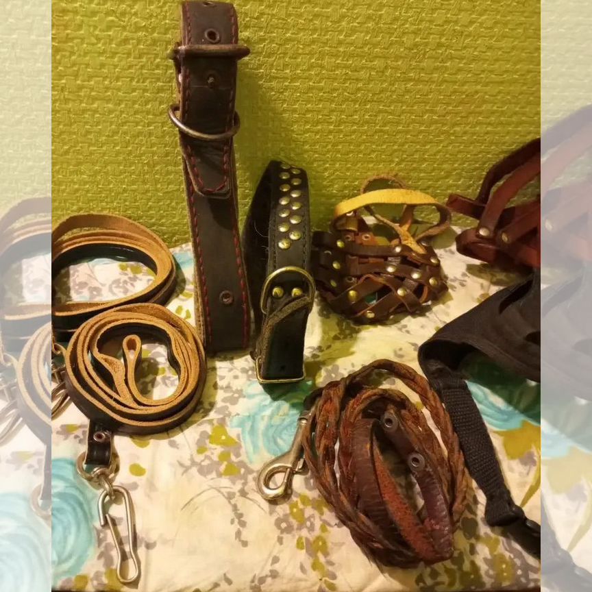 Аксессуары для собак