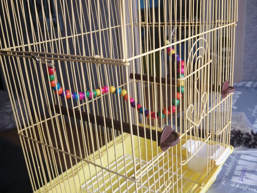 Клетка для попугая