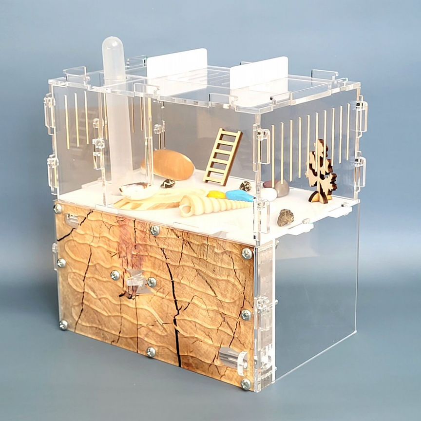 Муравьиная ферма Ковчег