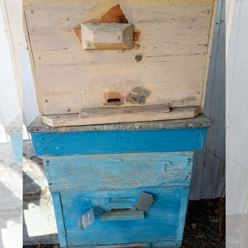 Продам ульи для пчел бу