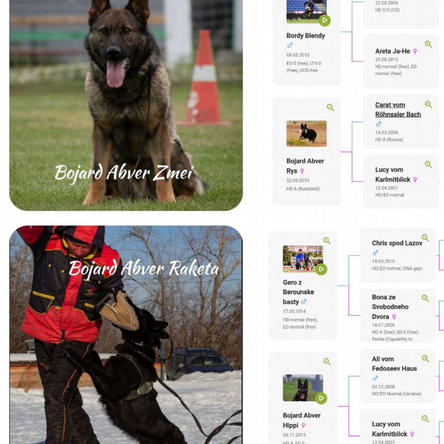 Немецкая овчарка, щенок