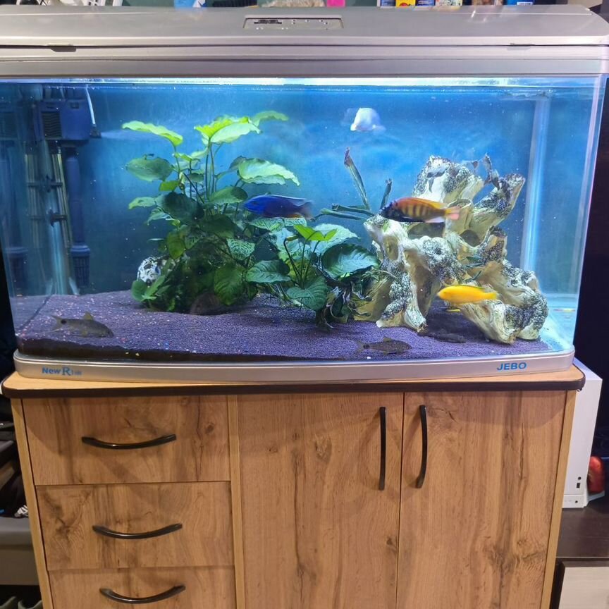 Аквариум с рыбками