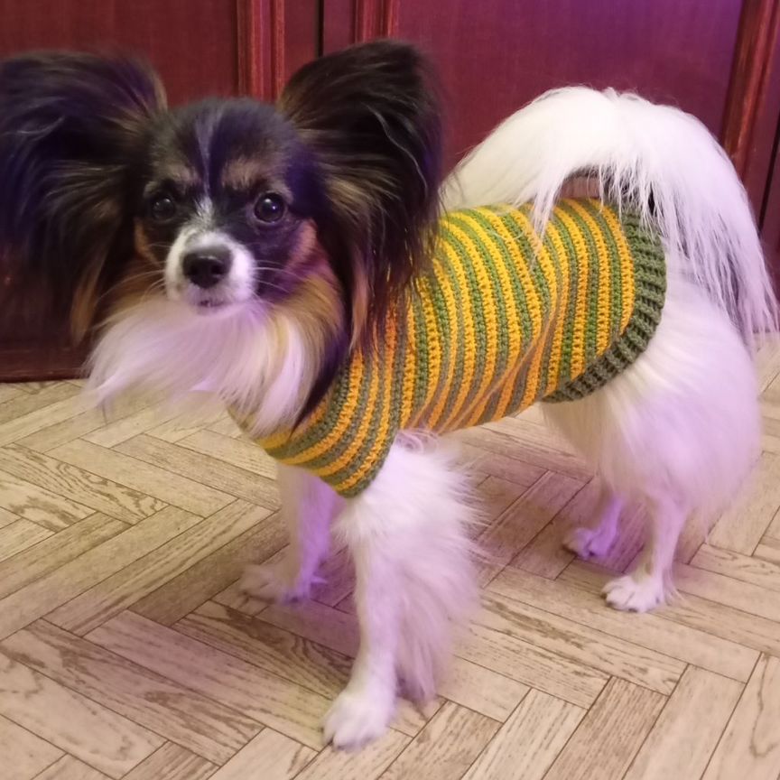 Вязанный свитер ручной работы для собак и кошек