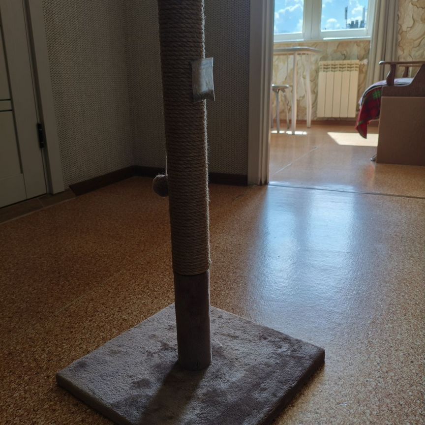 Когтеточка для кошек