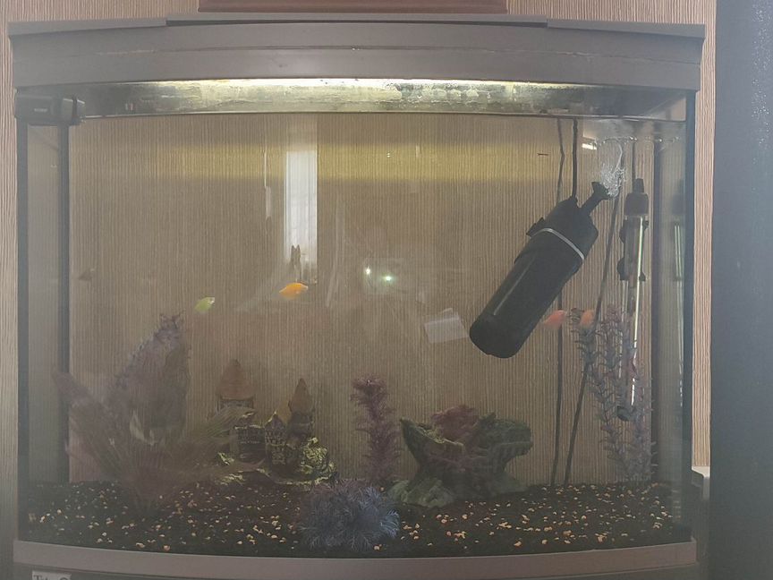 Аквариум