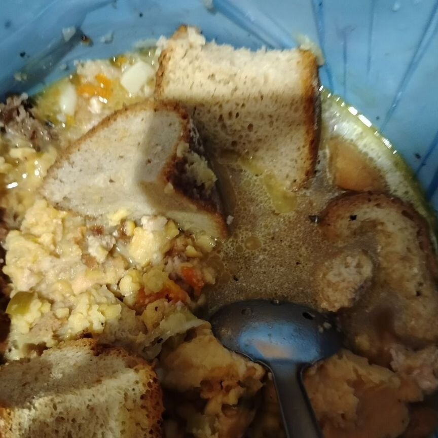 Отходы свежие с детского сада для собак свиней