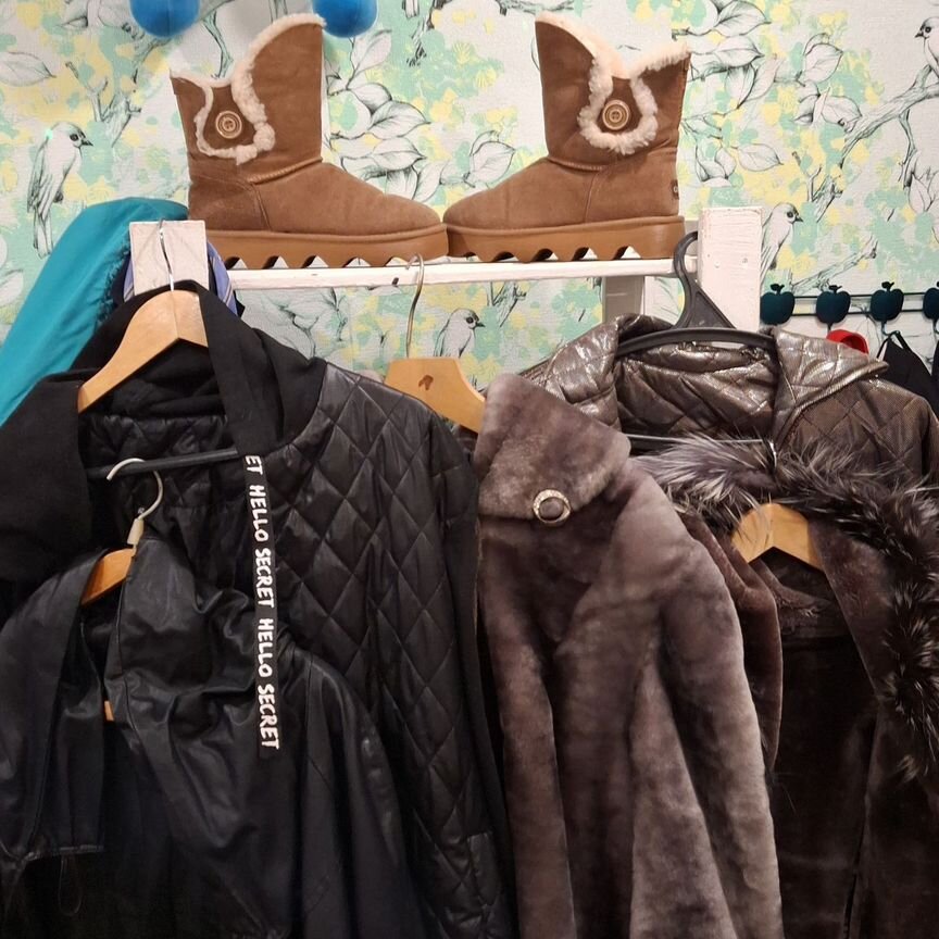 Продам или всё обменяю на щенка породы шпиц