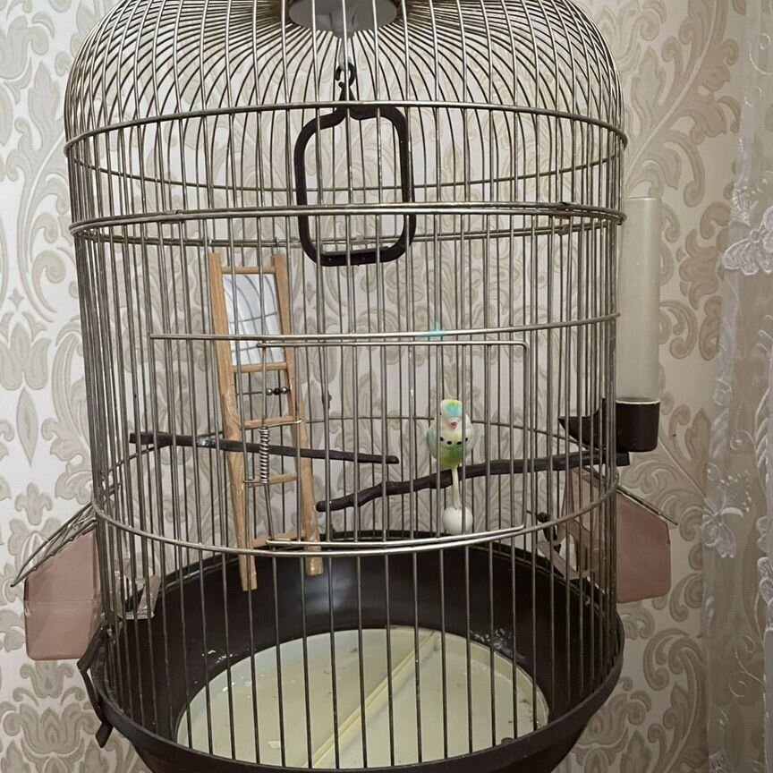 Клетка для попугая большая