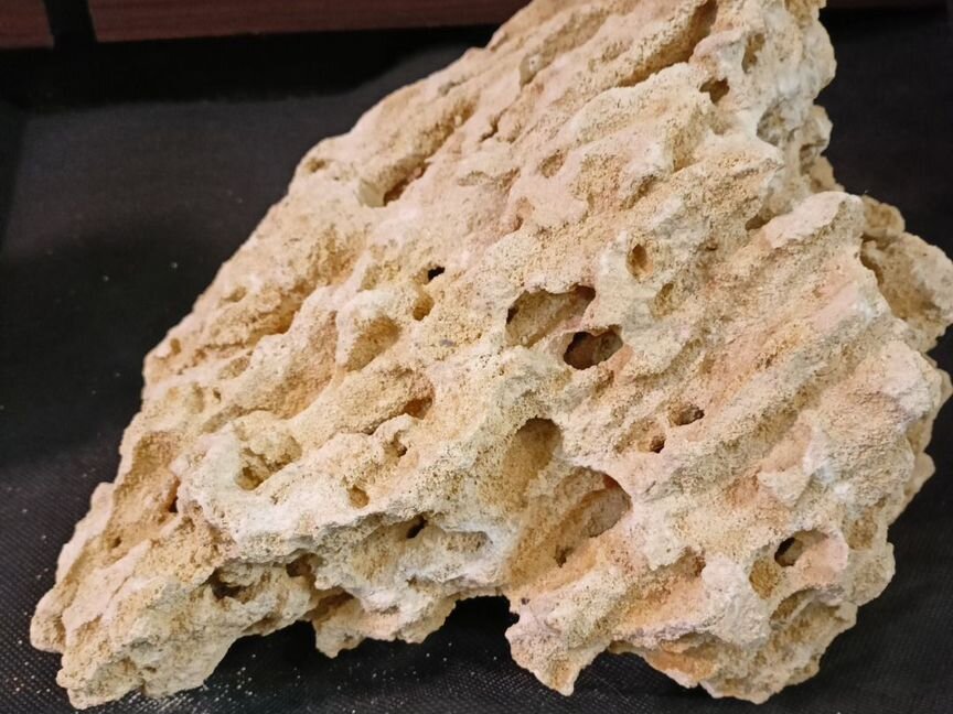 Камень песчанник