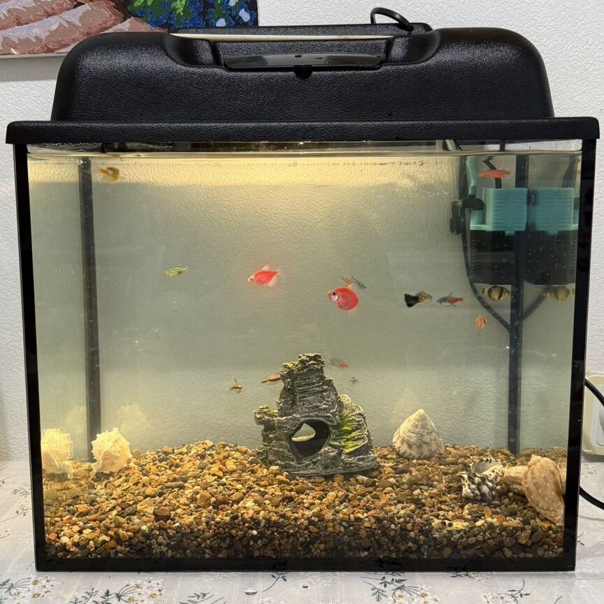 Аквариумы с рыбками