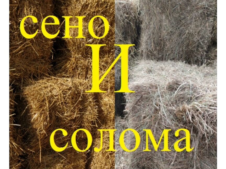 Солома сено