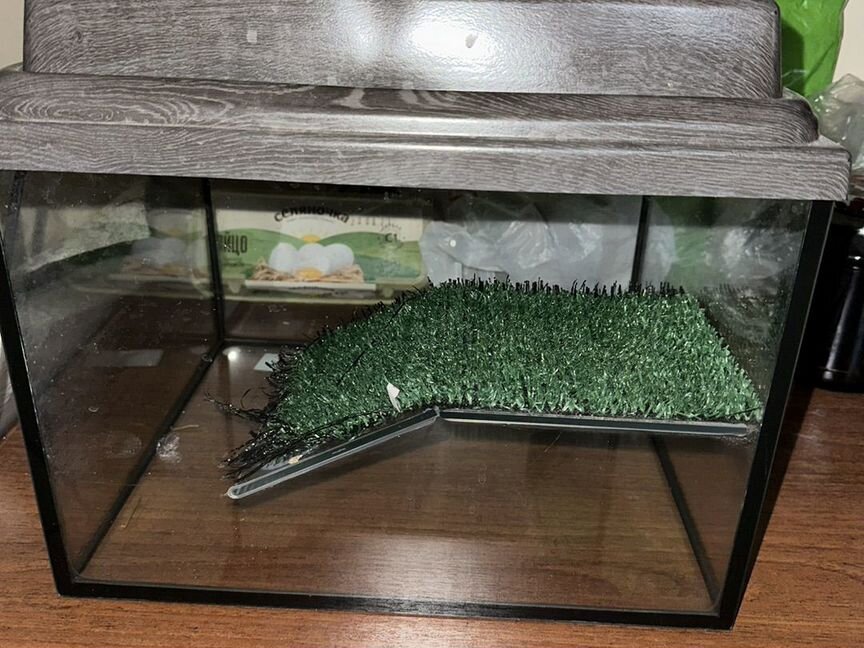 Аквариум для черепах