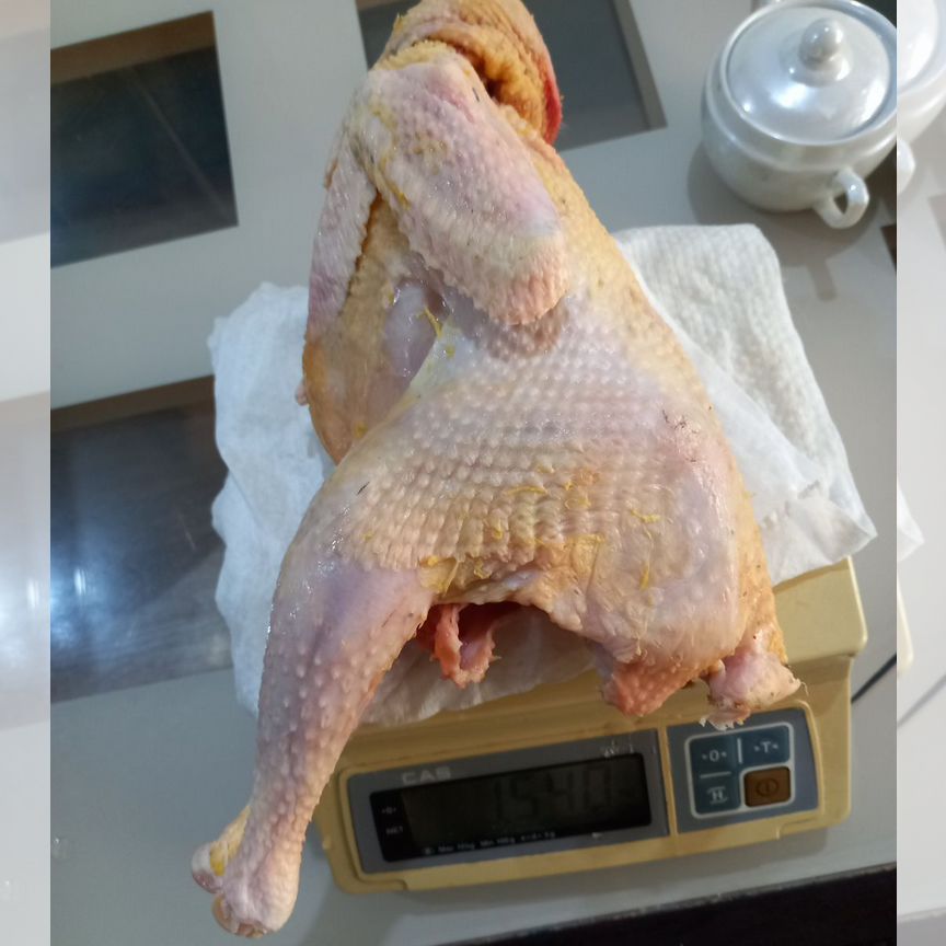 Петушки 6 месячные