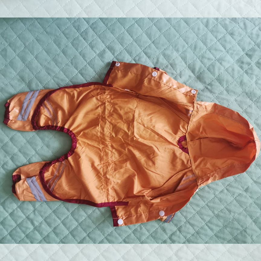 Дождевик для мал собачки и сапожки