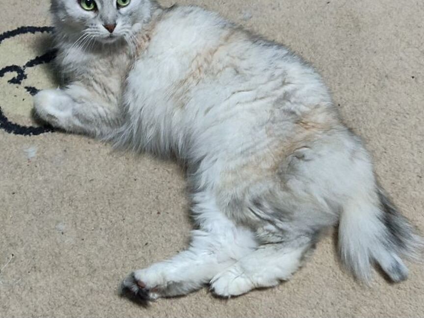 Снежная королева