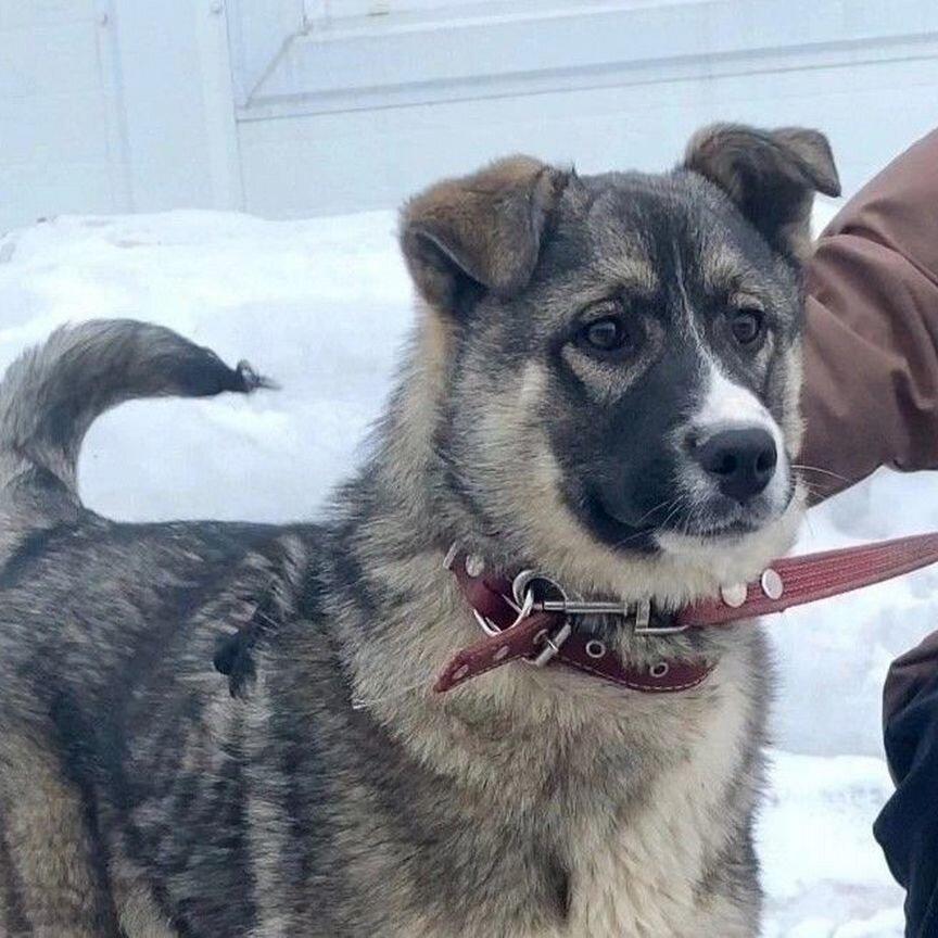 Весна-веснушка, пустите в дом