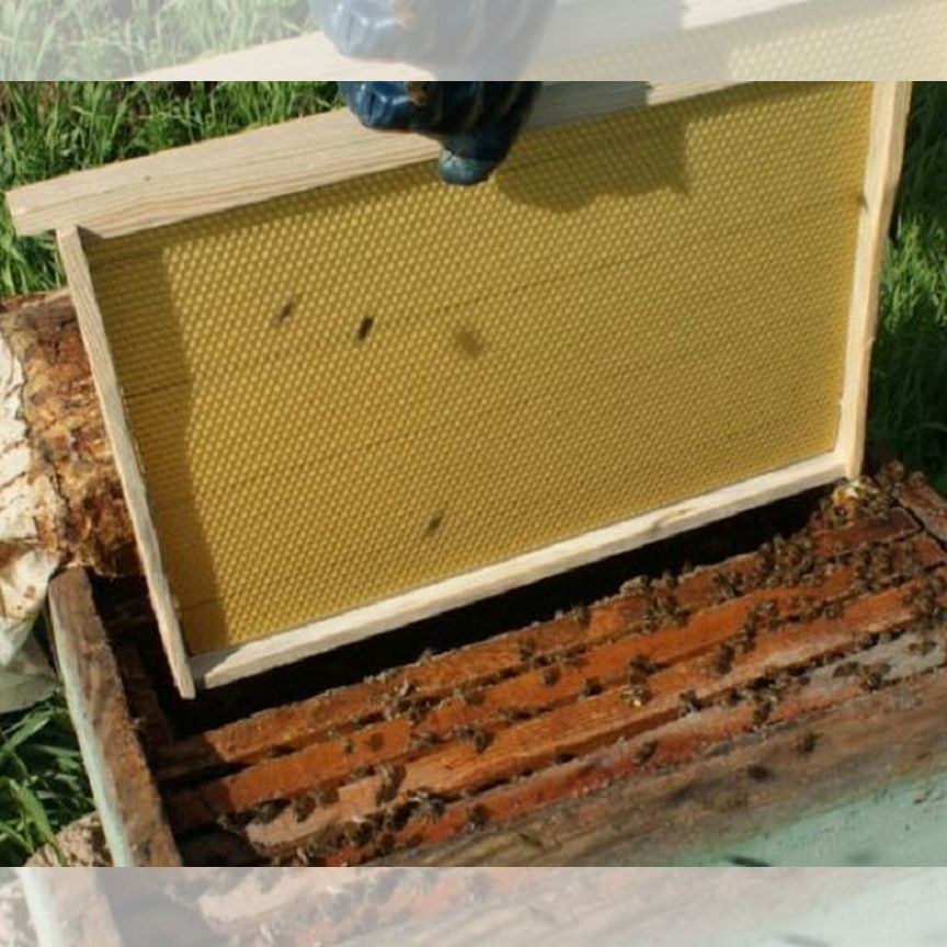 Ульи, рамки, сушь дадан