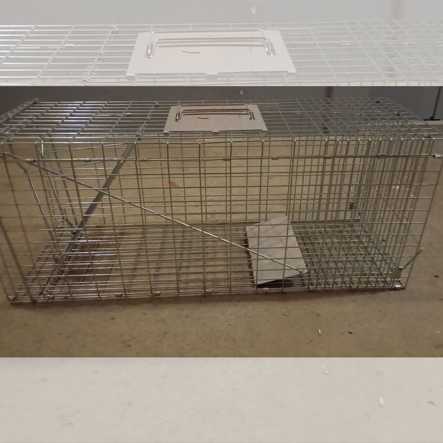 Ловушка для кошек механическая, безопасная