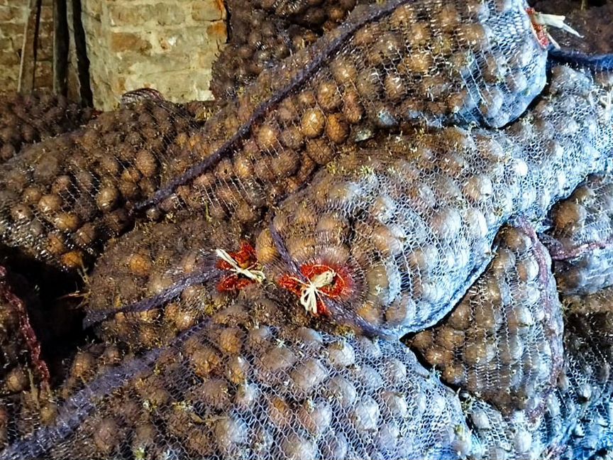 Продаётся картофель