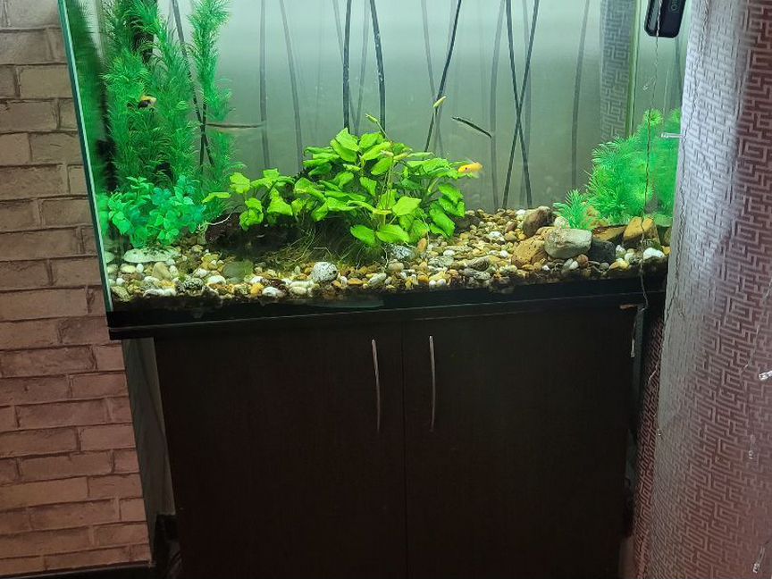 Аквариум с тумбой 150 литров