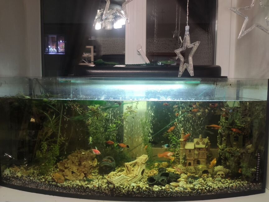 Аквариум