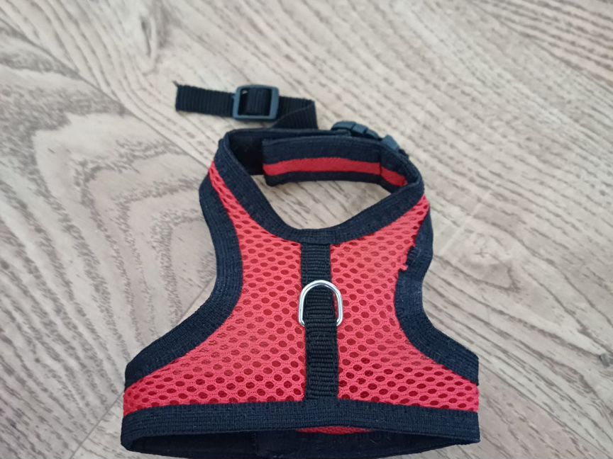 Шлейка для маленьких животных