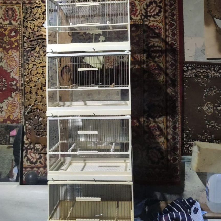 Садок для птиц