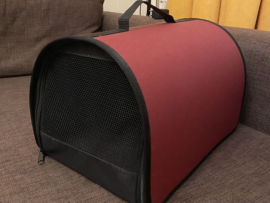 Переноска, лежанка, лоток и миски для кота