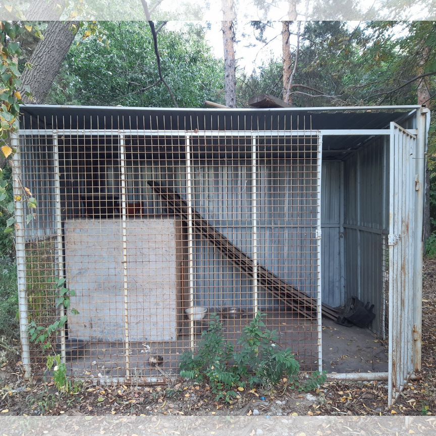 Вольер для собак с будкой