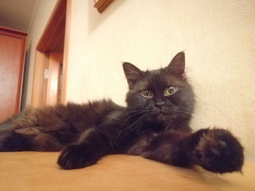 Спорим, что вы меня возьмёте