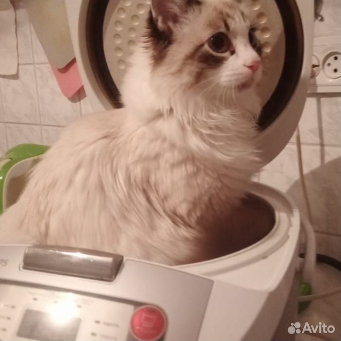 Ест почти всë