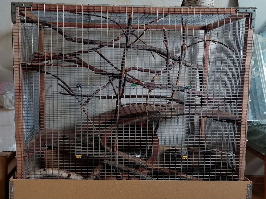 Клетка для грызунов очень большая