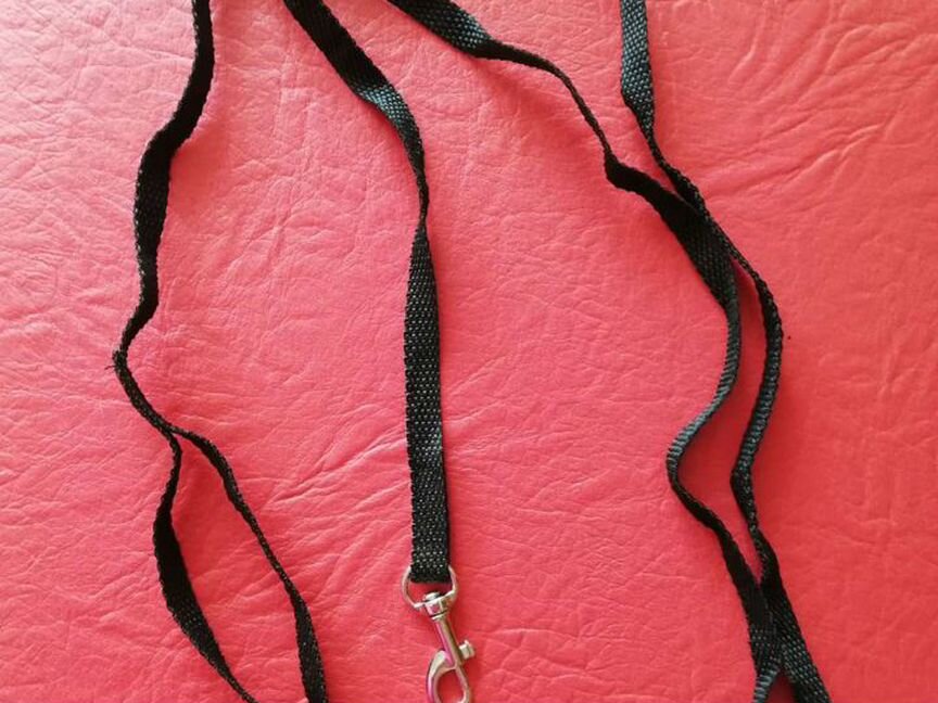 Поводок для животных