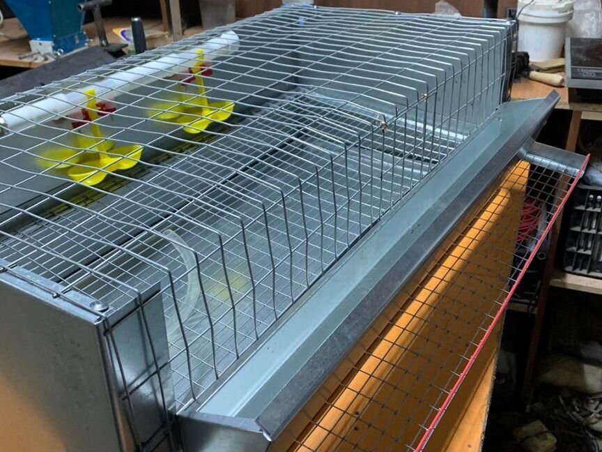 Клетки для перепелов