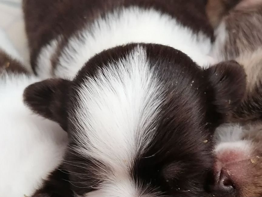 Невероятно красивый малыш