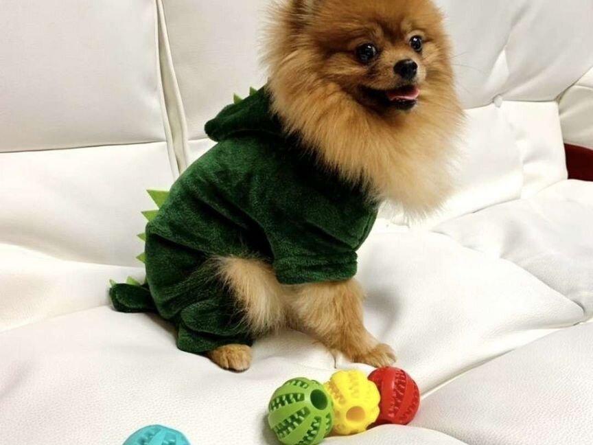 Костюмчик флисовый для собачки, кошки