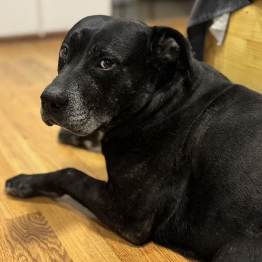 Стафф вязка