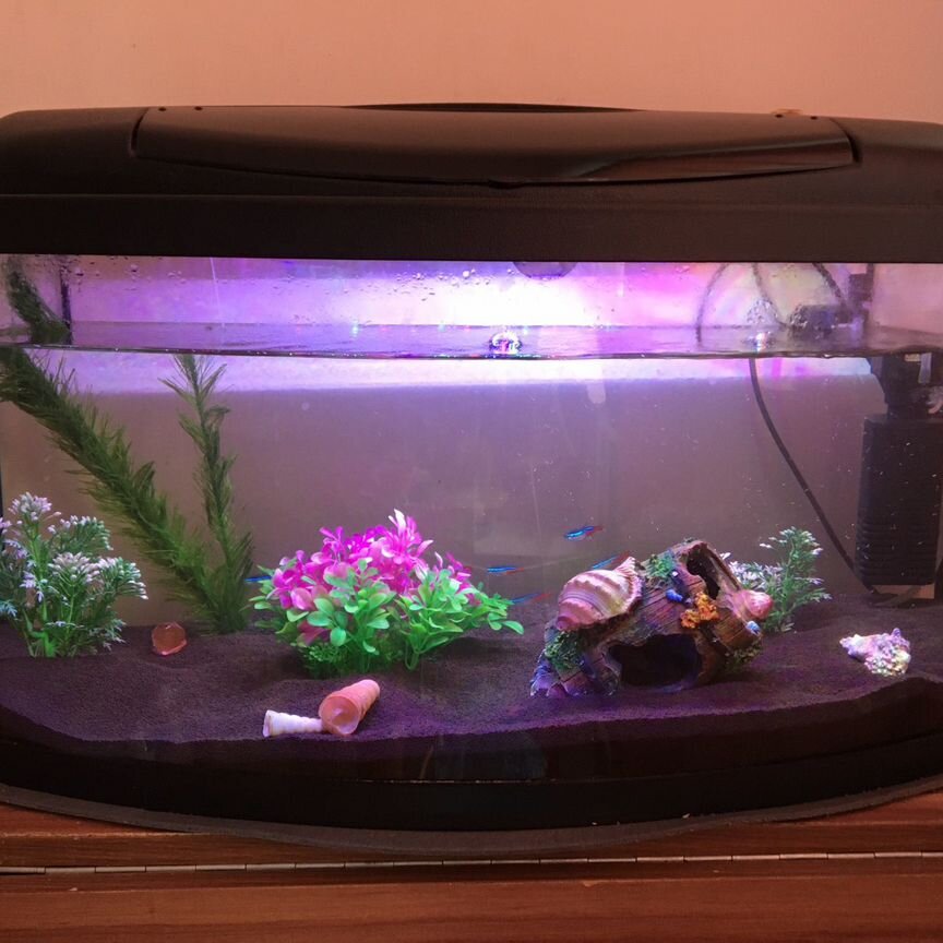 Аквариум 50 литров