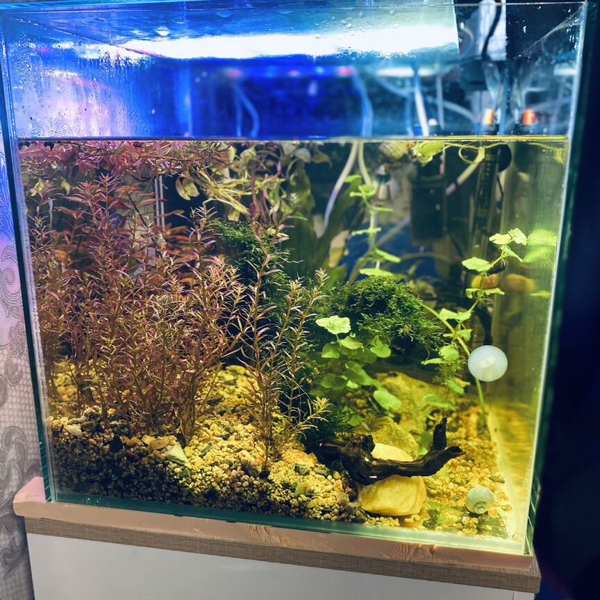 Аквариум 40*40*40 65л