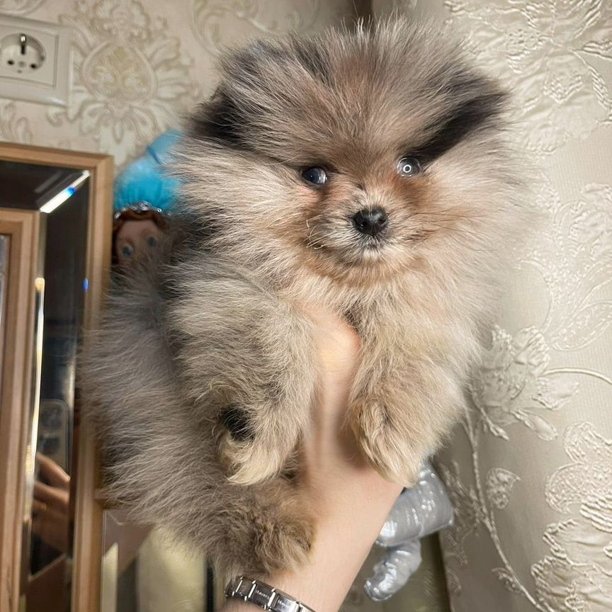 Новогодний мишка