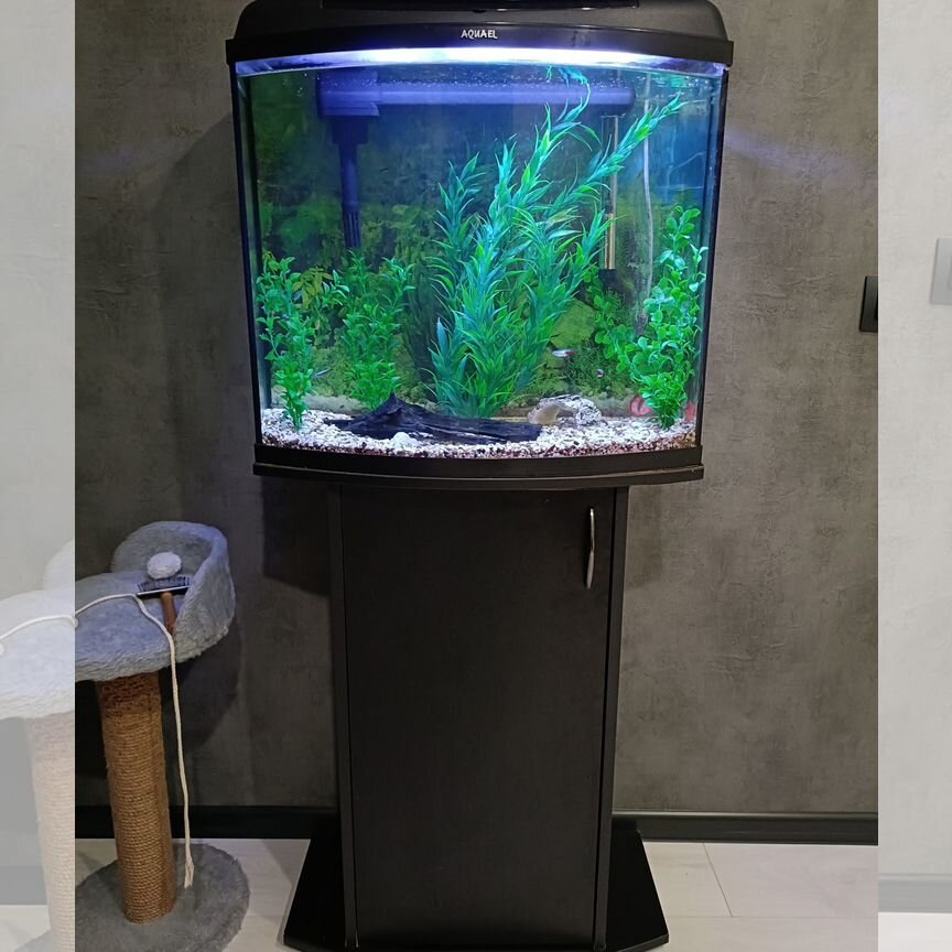 Аквариум с тумбой aquael